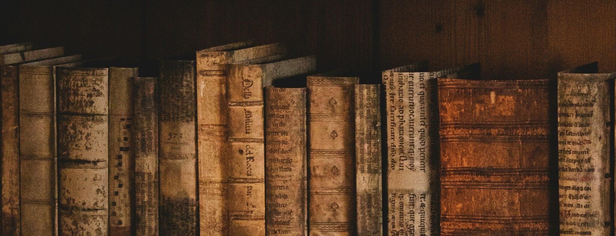 The Prophetic Life and Work of Catherine McAuley and the First Sisters ...